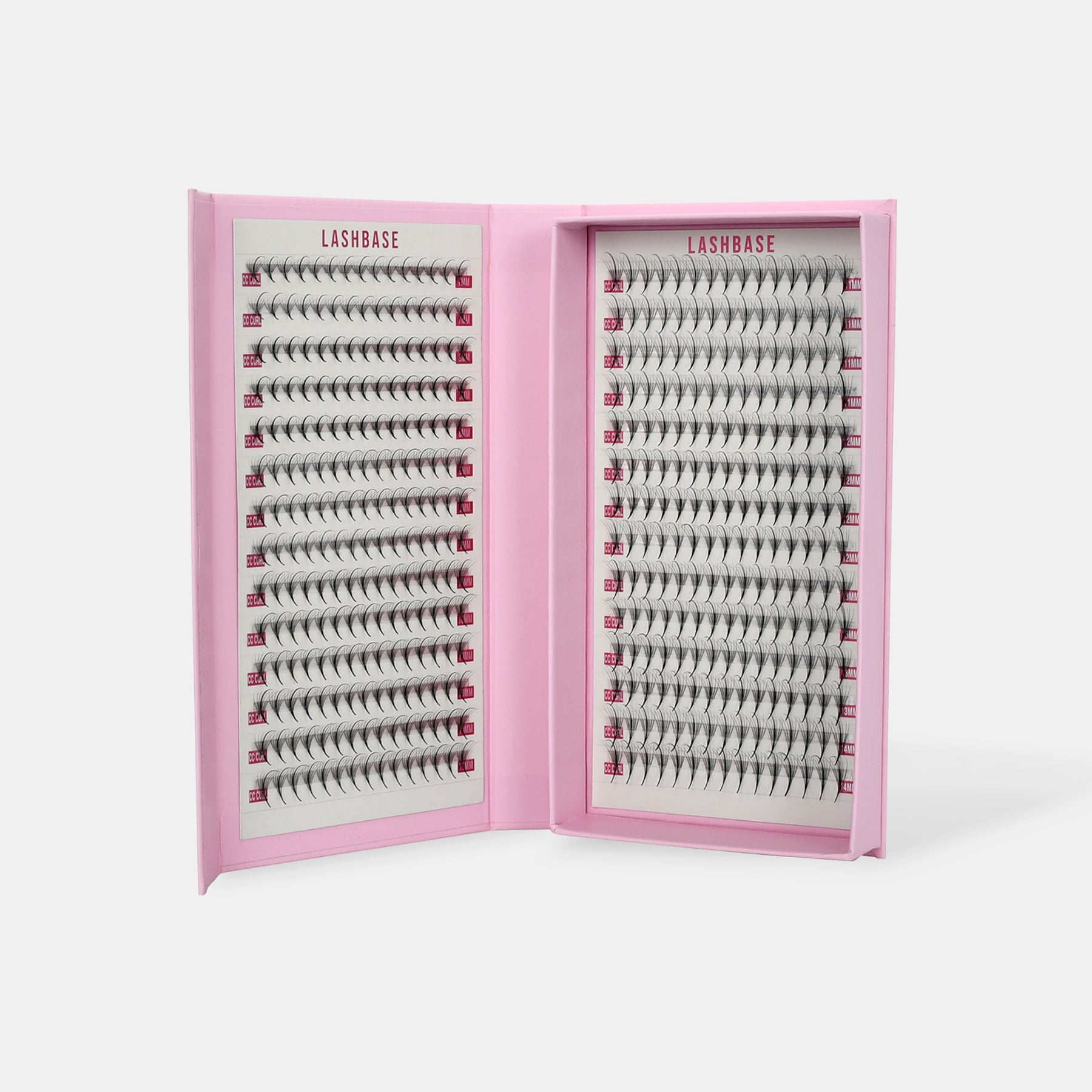 7D Wispy Lashes | Lashes | LashBase