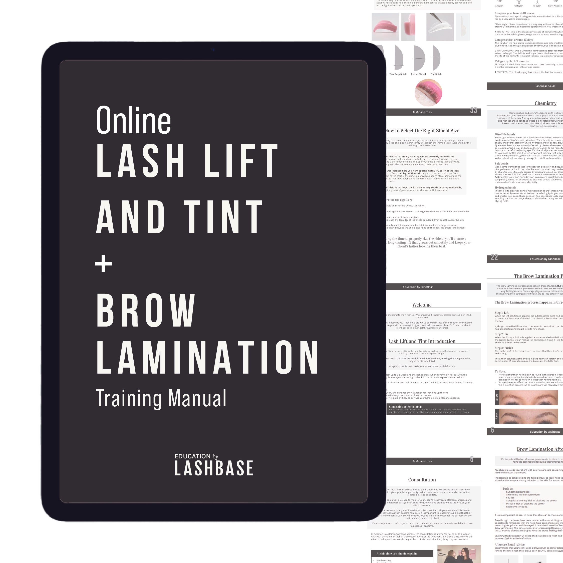 Online Lifted. Lash Lift & Tint & Brow Lamination Course