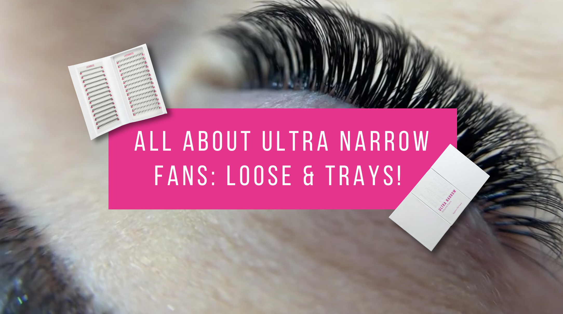 NEW: Ultra Narrow Fans | Blogs | LashBase
