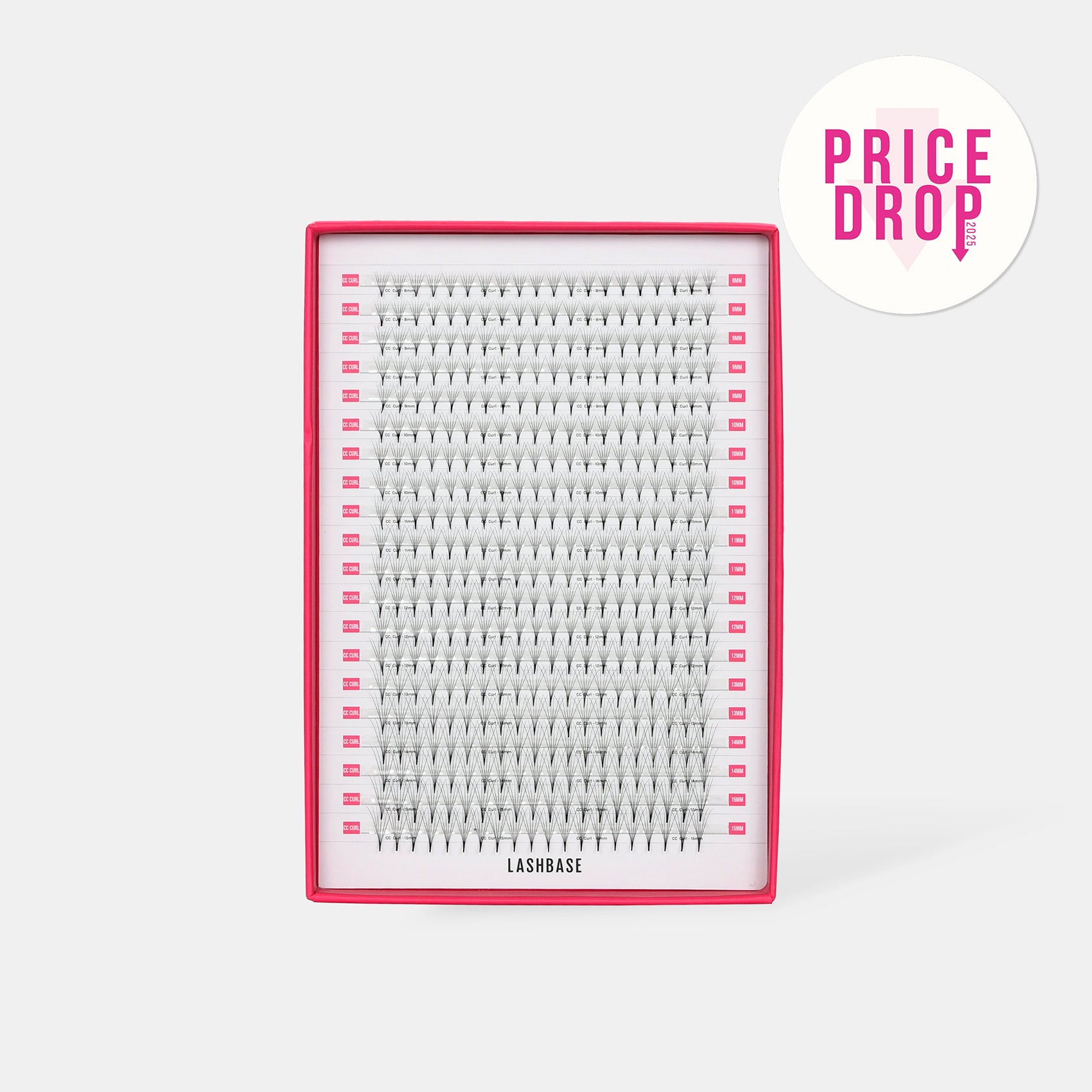 6D Pre Made Volume Fans – XXL Tray | LashBase Limited