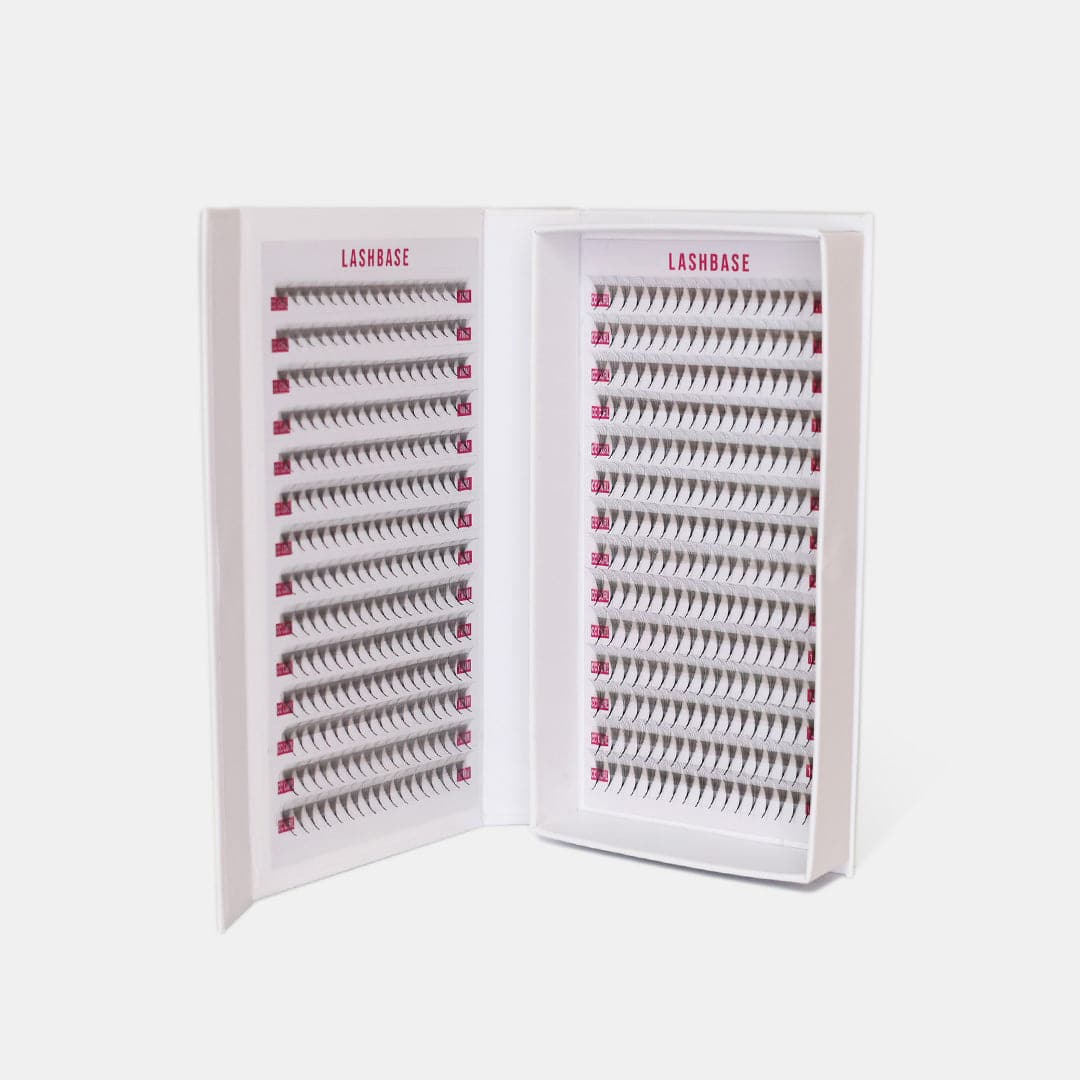 10D Ultra Narrow Fans | Lash Supplies | LashBase