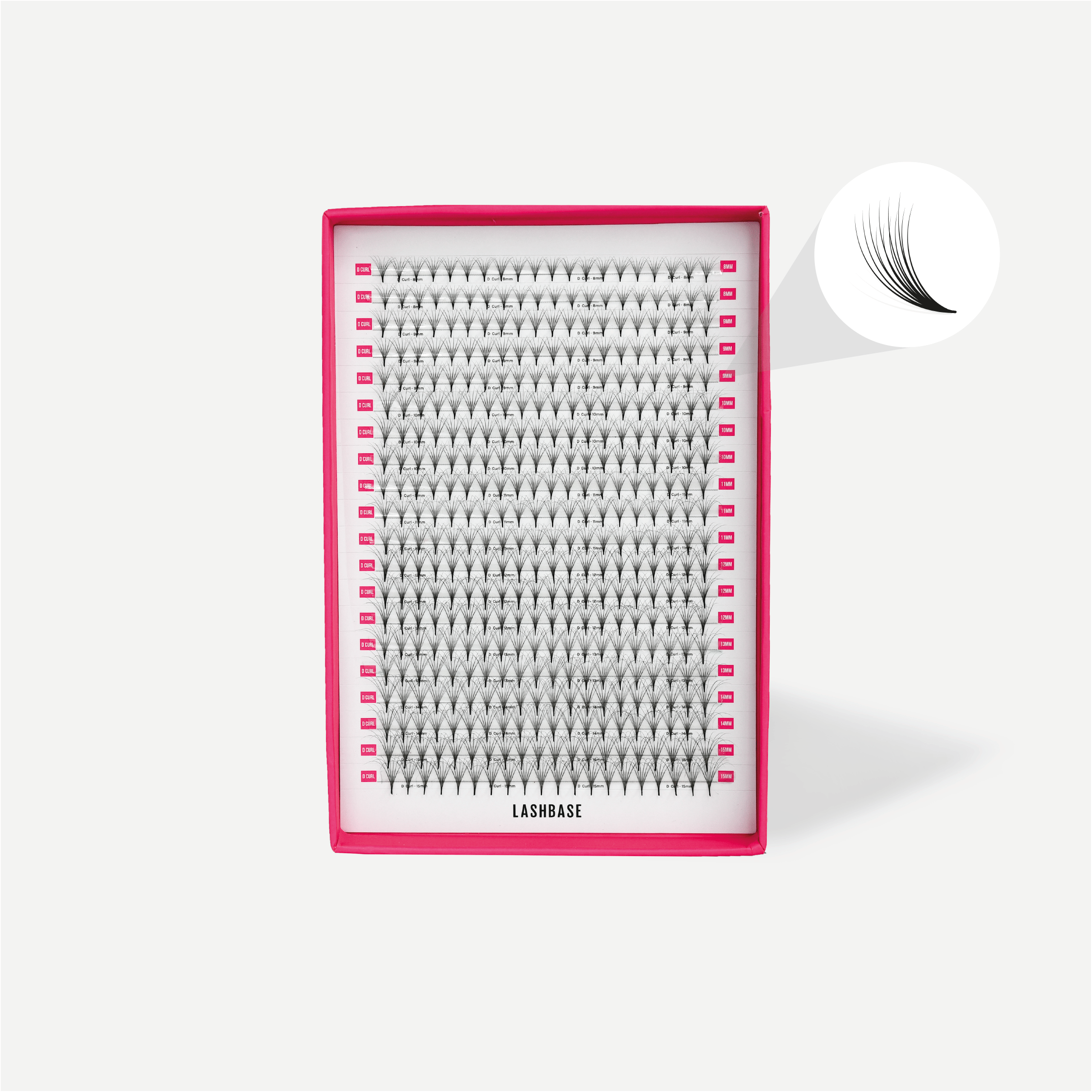 Double Layer Volume Fans | LashBase